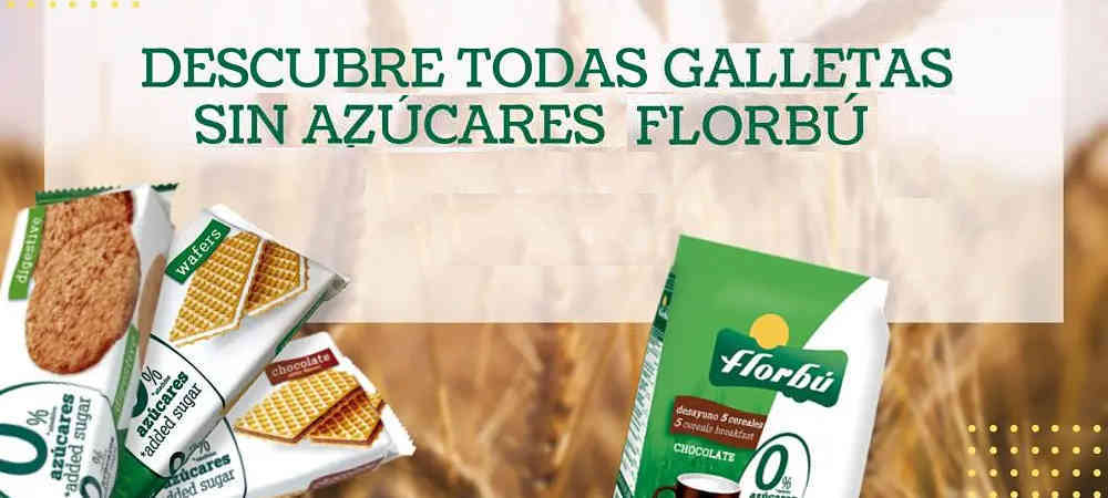 Florbú Petit déjeuner complet - biscuits intégrés sans sucre 350 g